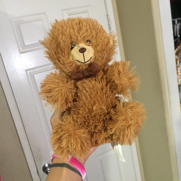 Toys | Fuzzy Brown Bear | Poshmark